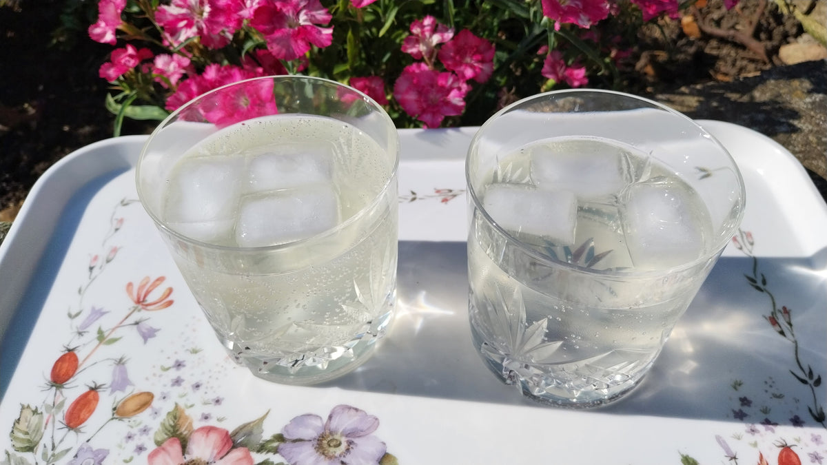 Fresh Elderflower Cordial – Retail Planning Blog